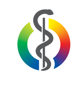 MedShapeNet tutorial for MICCAI